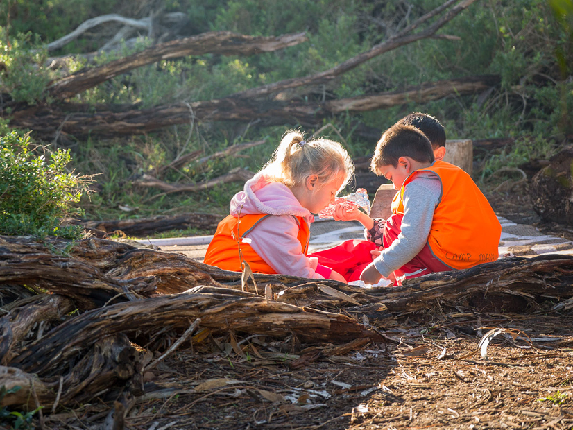 About us | the Y Discovery Camps