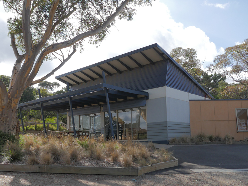 Camp Manyung | the Y Discovery Camps