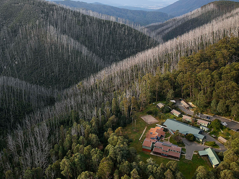 Howmans Gap Discovery Camp | the Y Discovery Camps