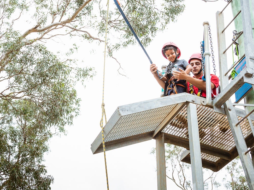 Lady Northcote Discovery Camp Activities | the Y Discovery Camps | the ...