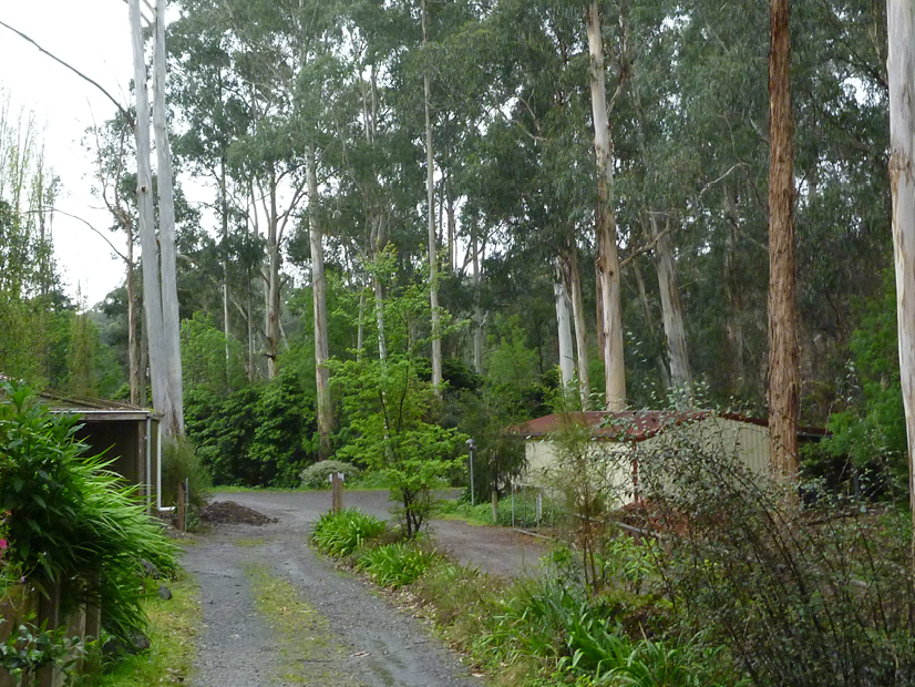 Enquire at Mt Evelyn Camp | the Y Discovery Camps | the Y Discovery Camps