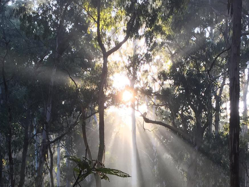 Mt Evelyn Camp Accommodation | the Y Discovery Camps | the Y Discovery ...