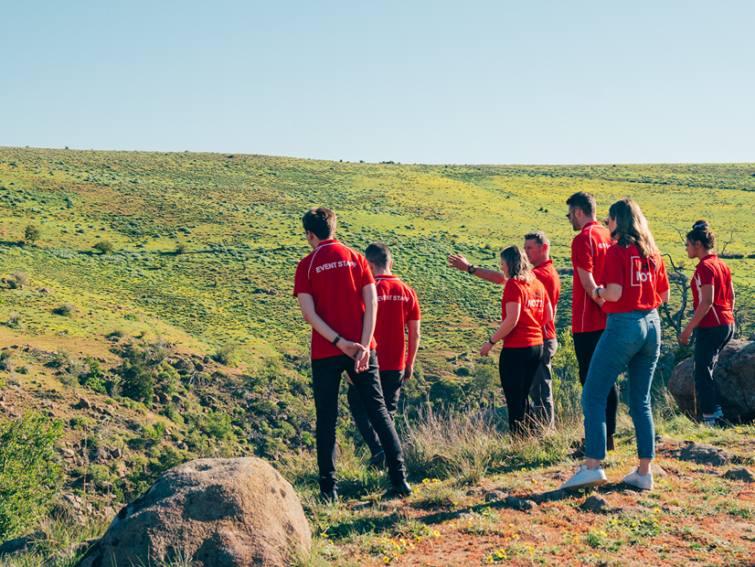 Experience | the Y Discovery Camps